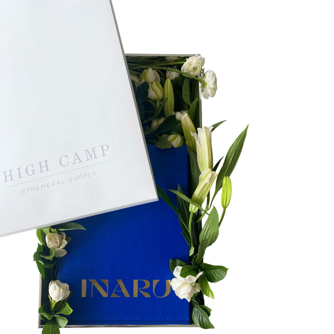 INARU Collab – Inaru Valley