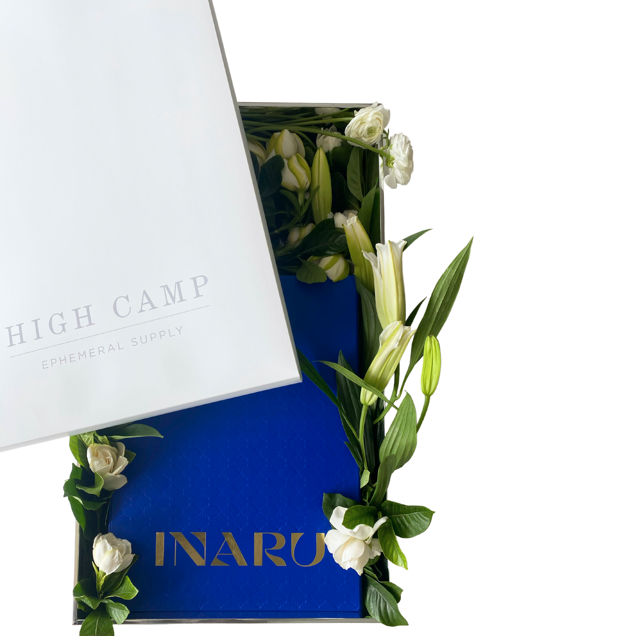 INARU Collab – Inaru Valley