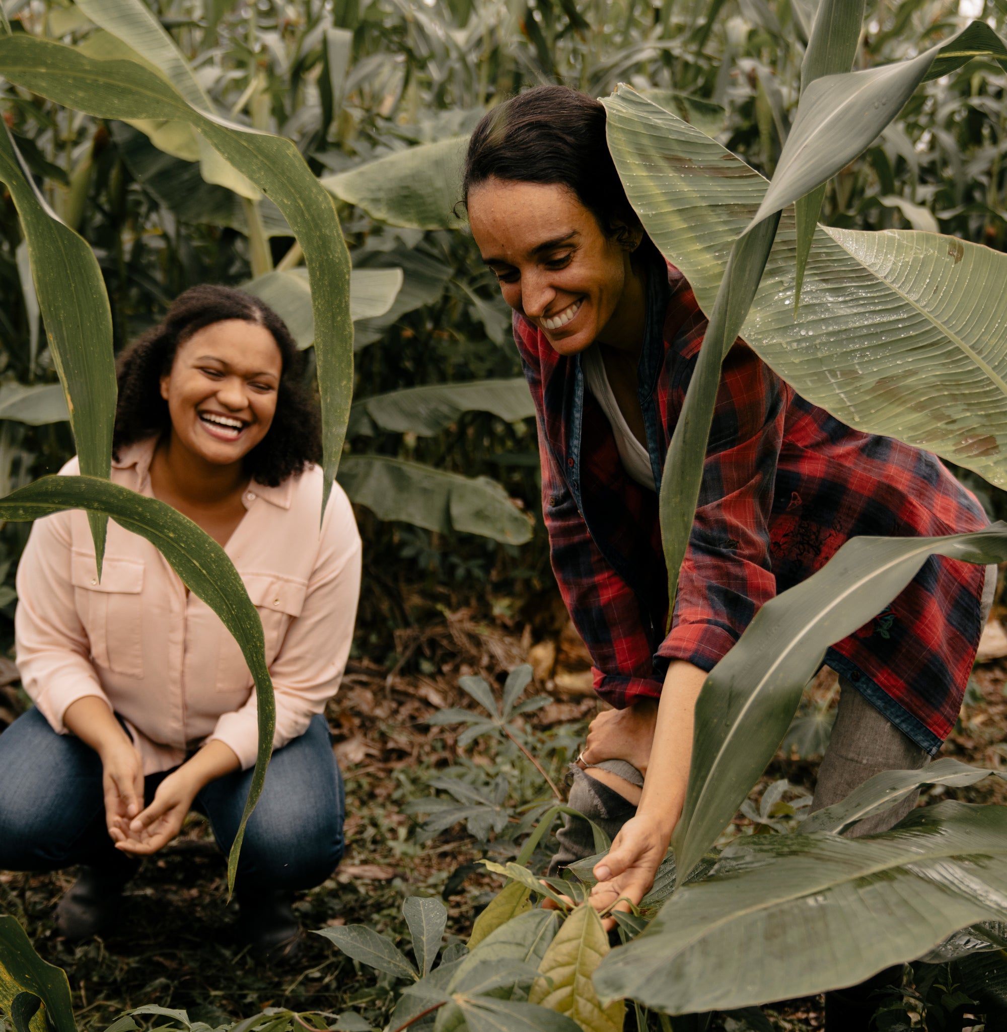 About – Inaru Valley